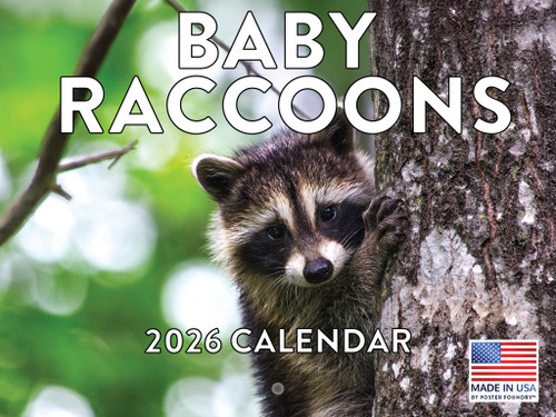 Baby Raccoon Calendar 2026 Wall 12 Month Raccoons Gifts For Racoon ...
