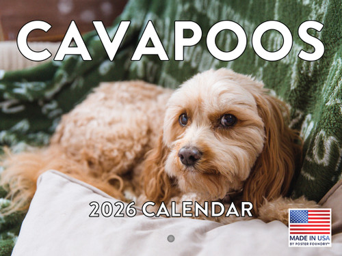 Cavapoo Calendar 2026 Wall Monthly Cavapoos Gifts For Cavapoo Lovers ...