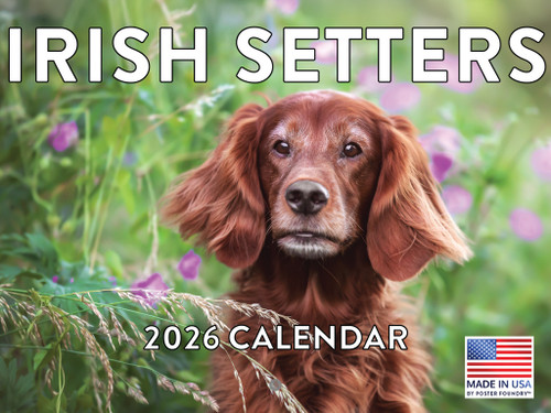 Irish Setter Calendar 2026 Wall 12 Month Monthly Irish Setters Gifts ...