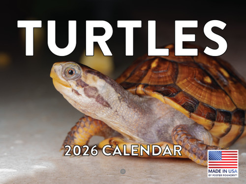Turtle Calendar 2026 Monthly Wall Calender 12 Month | American Made In ...