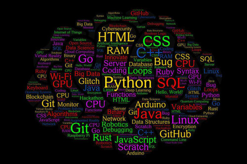 Computer Science Classroom Word Cloud Brain Shaped Programming Wall Art ...