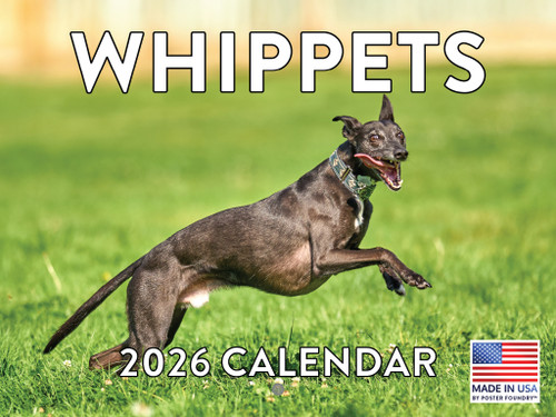 Whippet Calendar 2026 Wall 12 month Monthly Whippets Gifts For Whippet ...