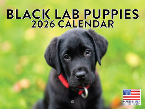Black Lab Calendar 2026 Wall 12 Month Labrador Puppies Labs Gifts For ...