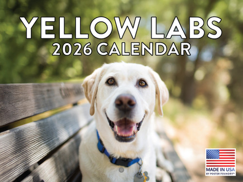Yellow Lab Calendar 2026 Labrador Monthly Wall Calender 12 Month Labs ...