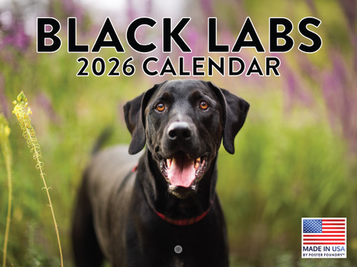 Black Lab Calendar 2026 Wall 12 Month Labrador Labs Gifts For Black Lab ...