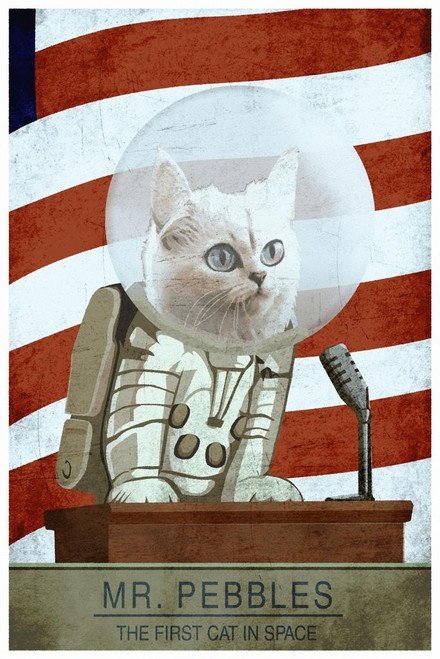 Mr Pebbles The First Cat In Space Video Game Gaming Poster 24x36 ...