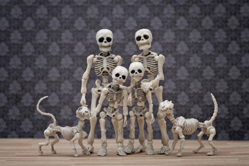 Spooky Skeleton Family Portrait Cool Wall Art Print Poster 36x24 ...