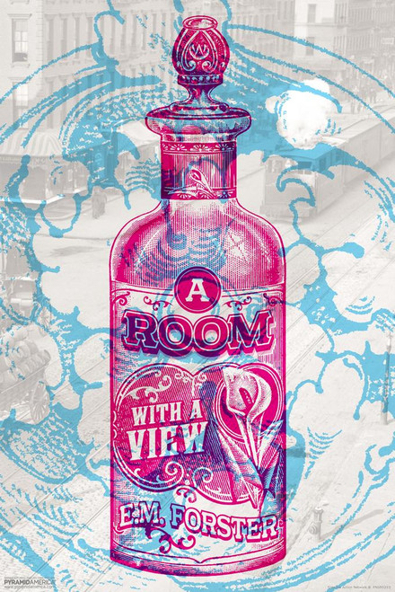 A Room With A View EM Forster Art Print Laminated Dry Erase Sign Poster ...