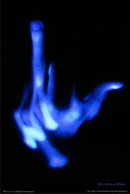 The Finger By David Wolcott Wilhelm Middle Finger Cool Wall Art Print ...