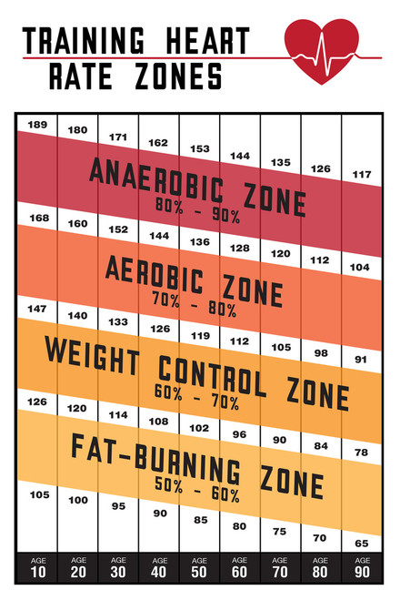 Fitness Heart Rate Chart Variability Training Zones Exercise Poster ...