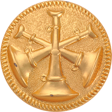 assistant chief solid disk, rank insignia, police assistant chief badge,