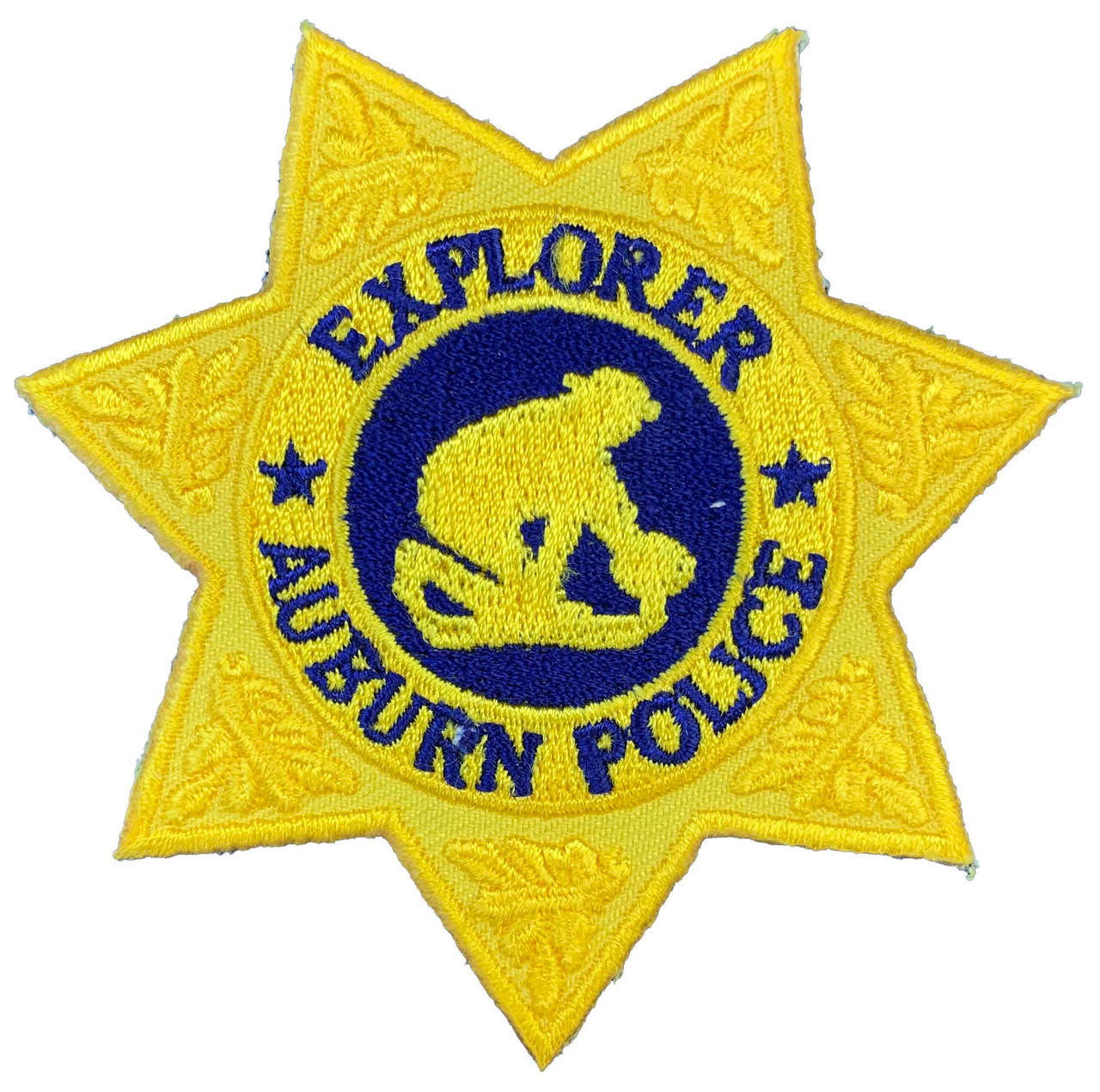 Auburn Police Explorer Star