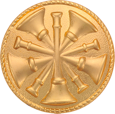 fire chief solid disk, fire department chief badge, rank insignia, fire ...