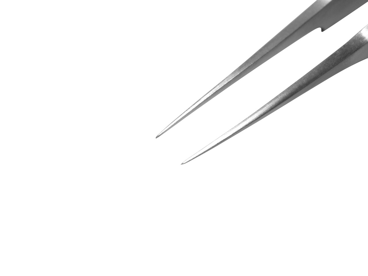Jeweller's Forceps #5 Straight - Reusable Instruments