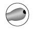 Olive Tip Cannula Curved 23G - accuspire