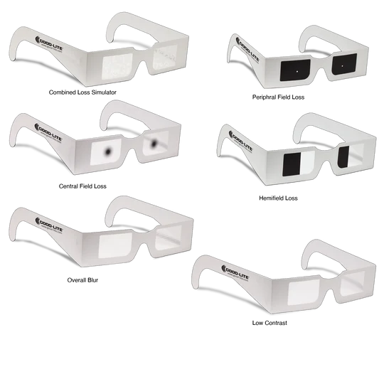 VisualEyes Vision Simulator Glasses Set - accuspire