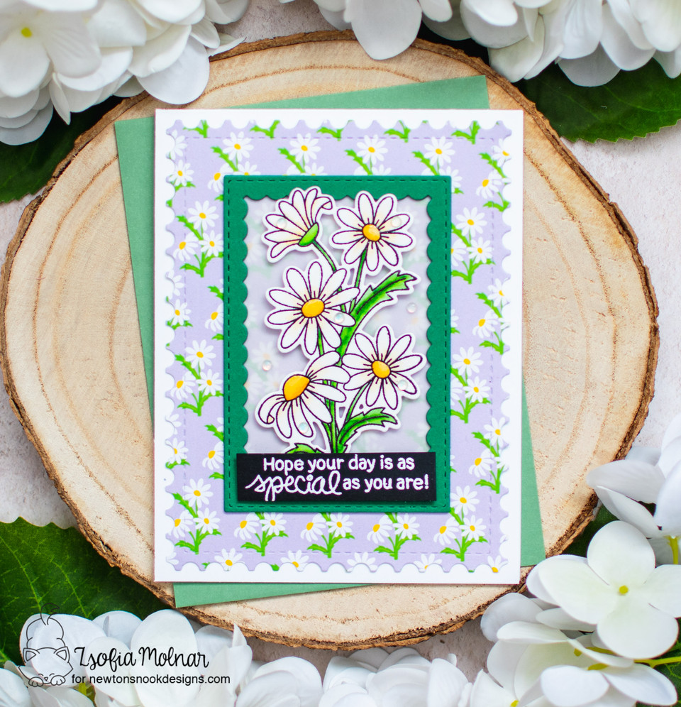 Dainty Daisies - Newton's Nook Designs