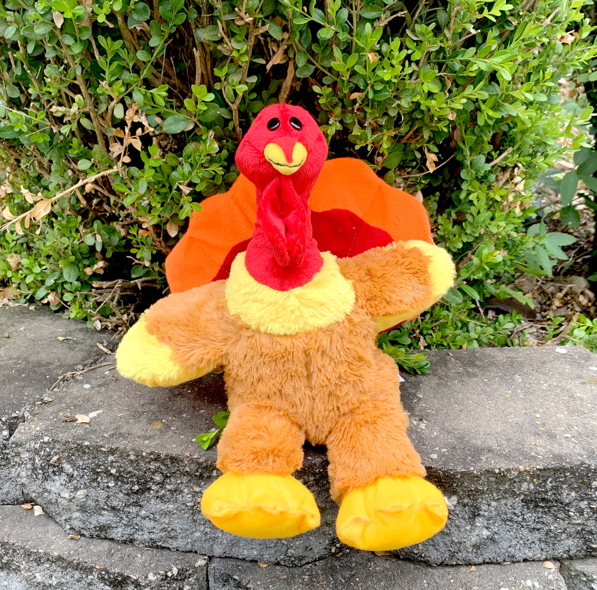 Wholesale Unstuffed Turkey