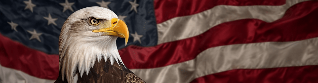 Flags - Patriotic & Political Flags - Uncommon USA