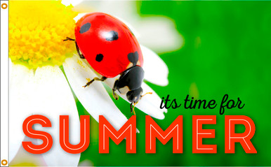 Lady Bug Flag 3x5 - Uncommon USA