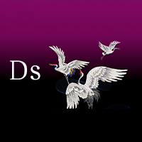 Wilcom EmbroideryStudio Designing