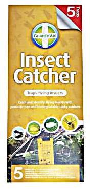 Insect Catcher for Flying Pest - 5 Sheets, trap aphids, white fly in ...