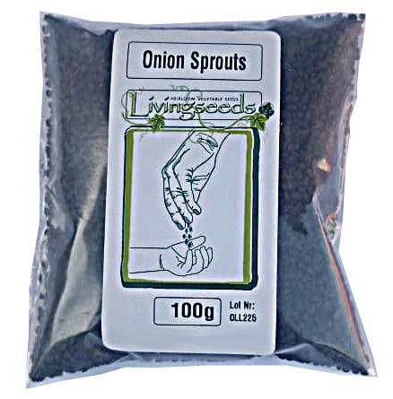Onion Sprout & Microgreens Seeds -100 Grams, microgreens, salads, onion ...