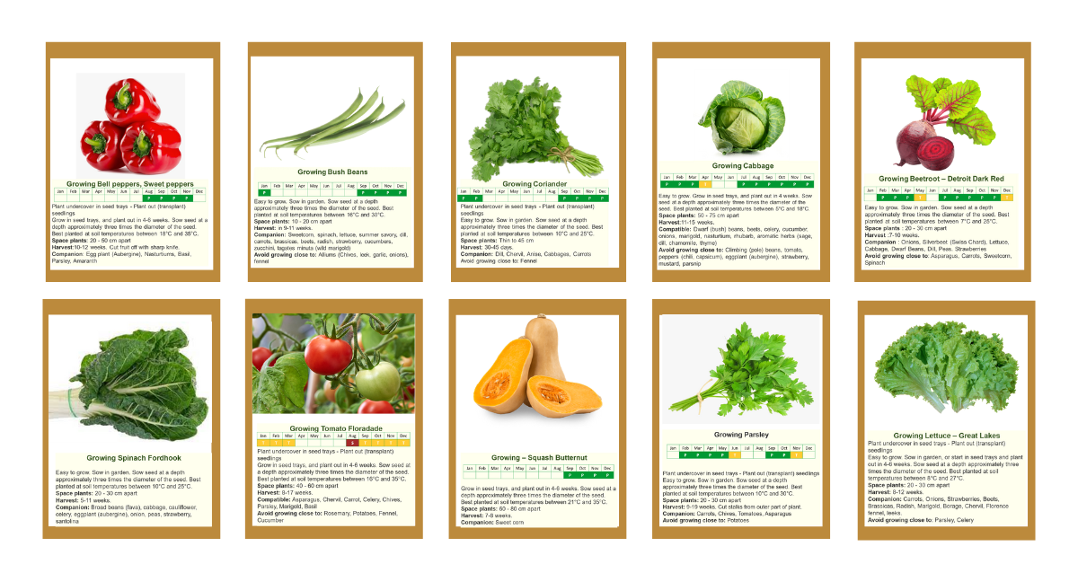 The Names Of Vegetable Seeds Vegetable Seeds Pictures | Download Free