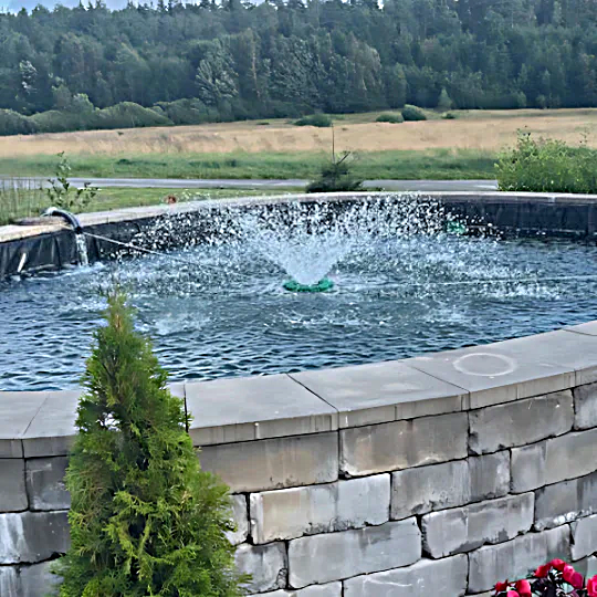 Floating Fountain with Built-in Pump - Aeration for Small Ponds, fish ...