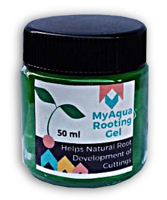 Rooting Gel - Root development of plant cuttings, plant propagation