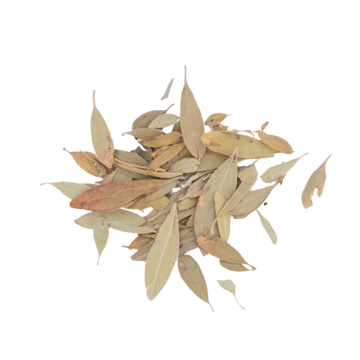 Buy Jilungin, Native Jilungin Tea, Jilungin Bush Tea, Australian Jilungin