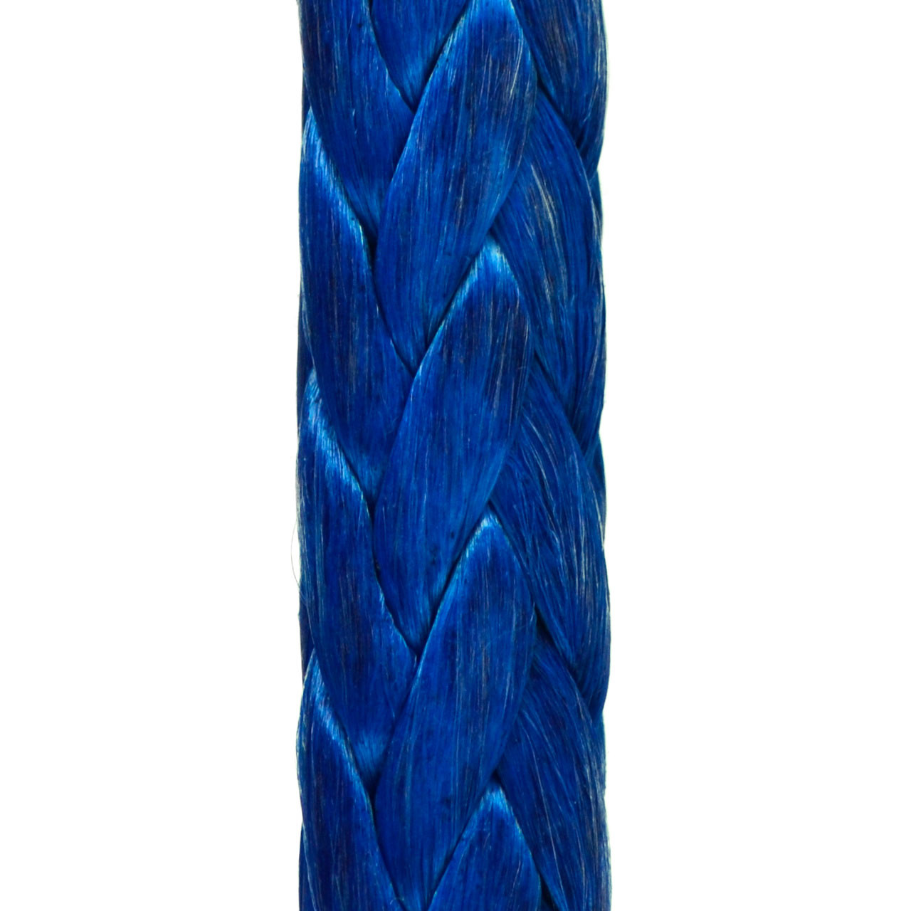 D-12 - 12 Strand Single Braid - Made of Dyneema® Fiber | Pelican Rope