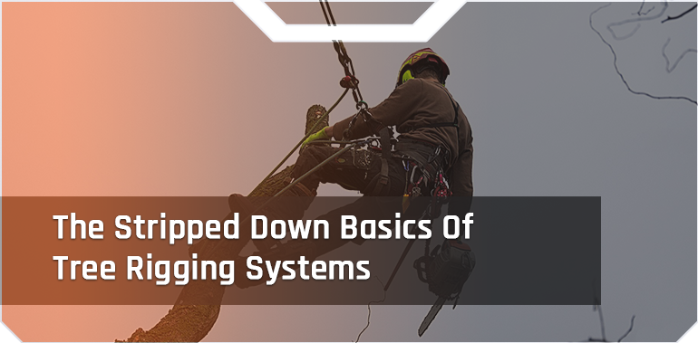 The Stripped Down Basics Of Tree Rigging Systems - Pelican Rope