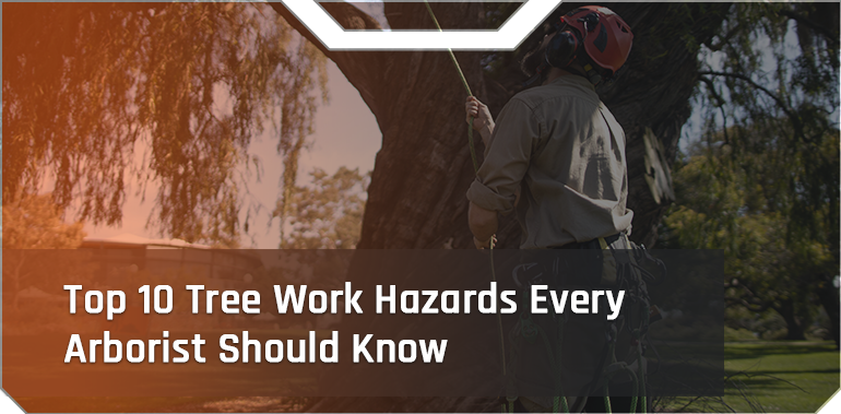 Top 10 Tree Work Hazards Every Arborist Should Know - Pelican Rope