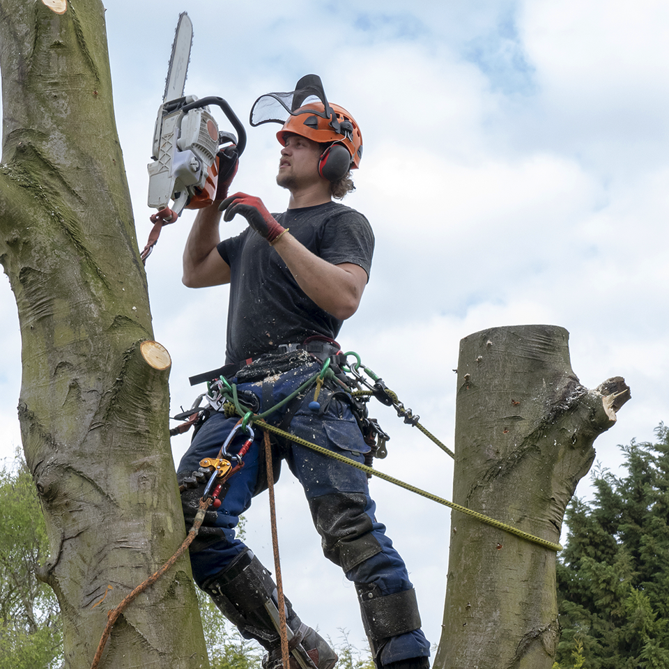 11.8 MM - Arborist-24™ Professional Arborist Climbing Line | Pelican Rope