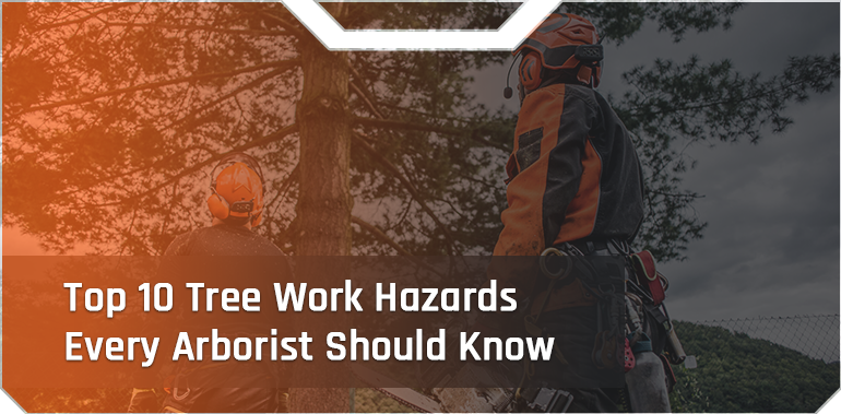 Top 10 Tree Work Hazards Every Arborist Should Know - Pelican Rope