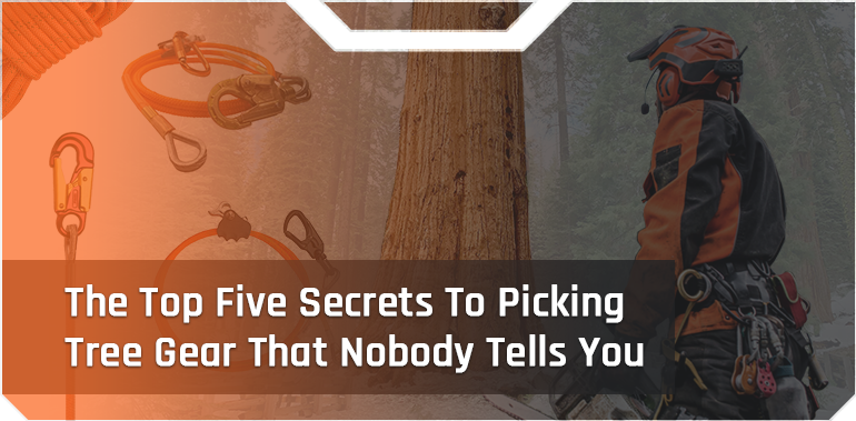 The Top 5 Secrets To Picking Tree Gear That Nobody Tells You - Pelican Rope