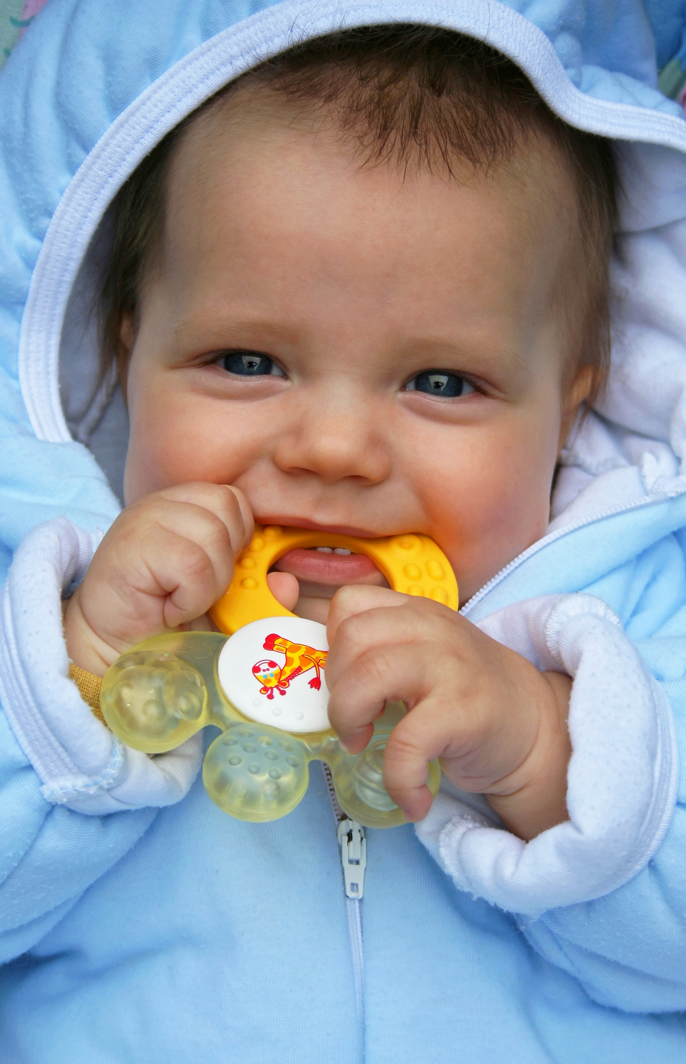 Are Teething Rings Safe? - Treasure Tower Rewards Canada Ltd.
