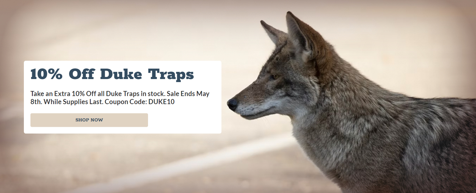 10% Off Duke Trap Sale - Fleming Traps