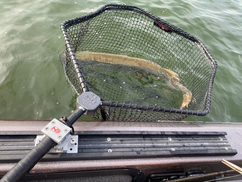 Musky Net Holder