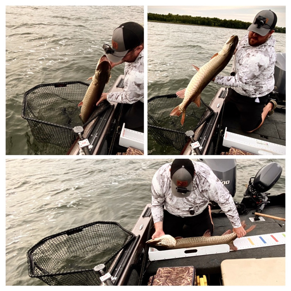 Musky Buddy Rail Mount