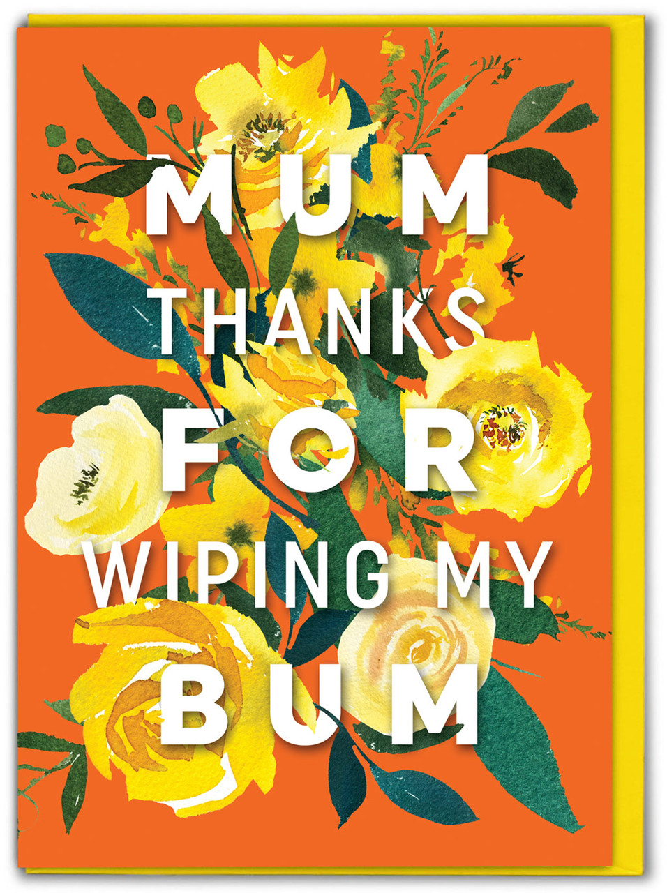 Funny Mothers Day Card Mum Wipe Bum By Brainbox Candy