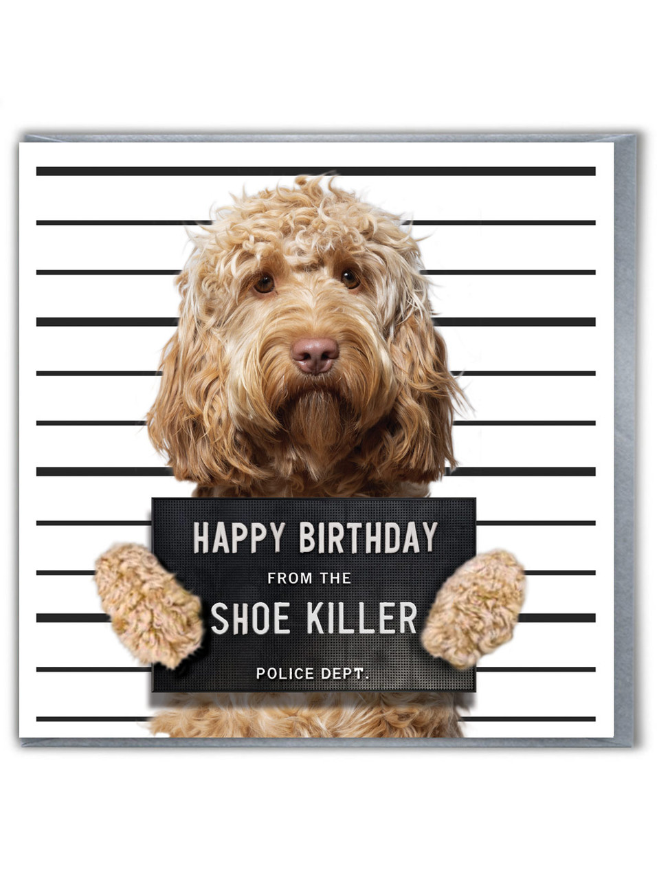 Funny Happy Birthday Cockapoo Shoe Killer Card By Brainbox Candy ...