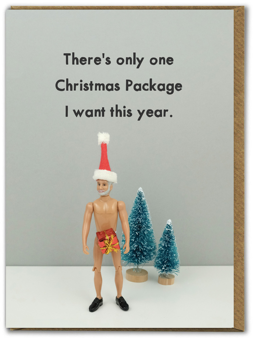 Funny Christmas Card Only One Package By Bold & Bright | brainboxcandy.com