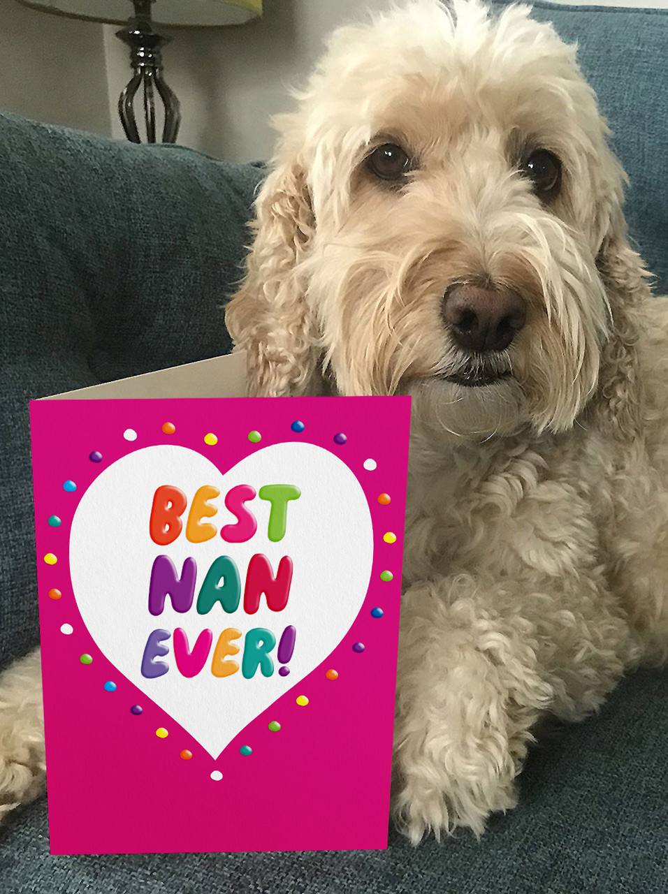Funny Best Nan Ever Birthday Card By Brainbox Candy | brainboxcandy.com