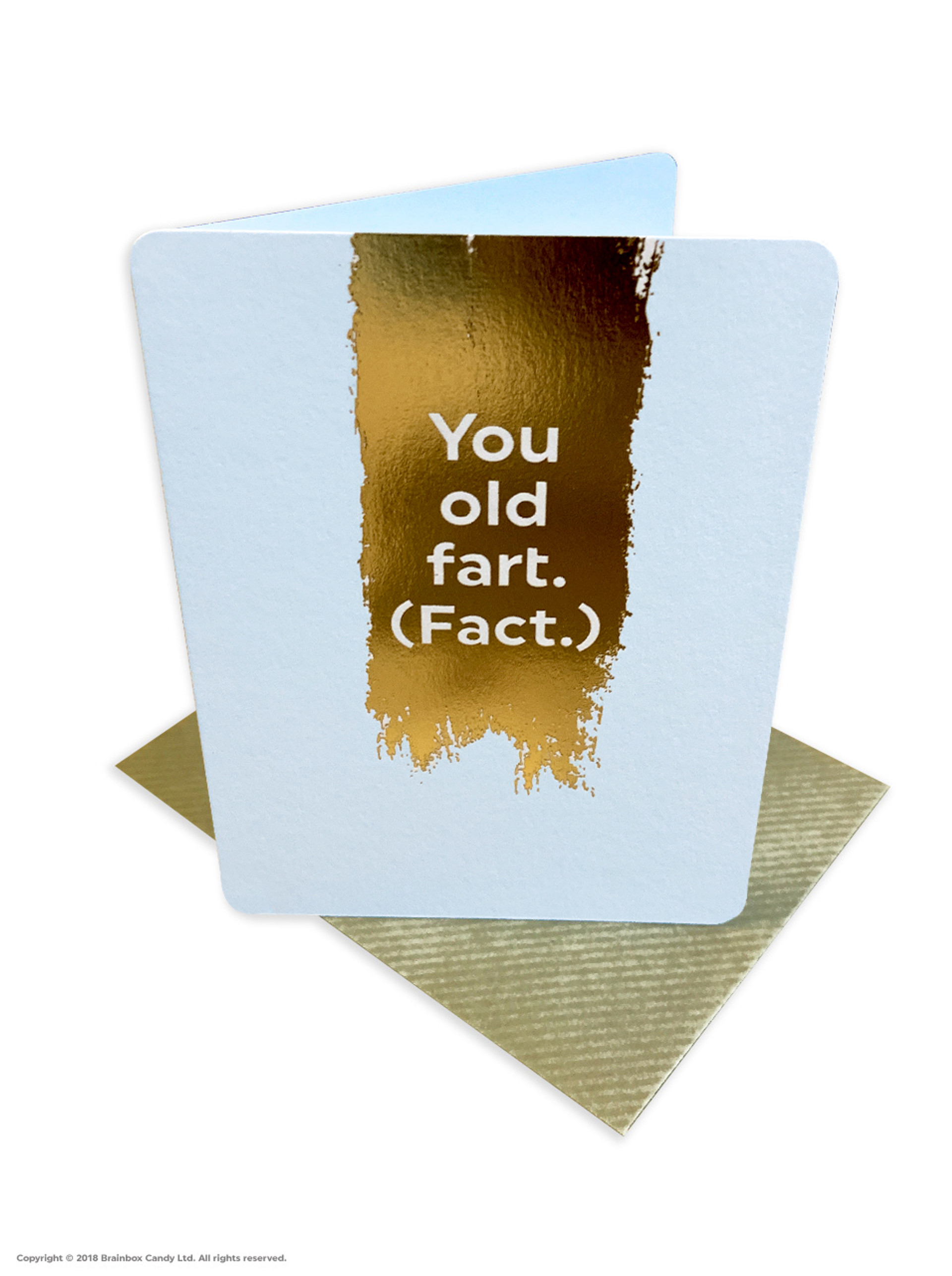 Funny Birthday Card Gold Foiled You Old Fart By Brainbox Candy