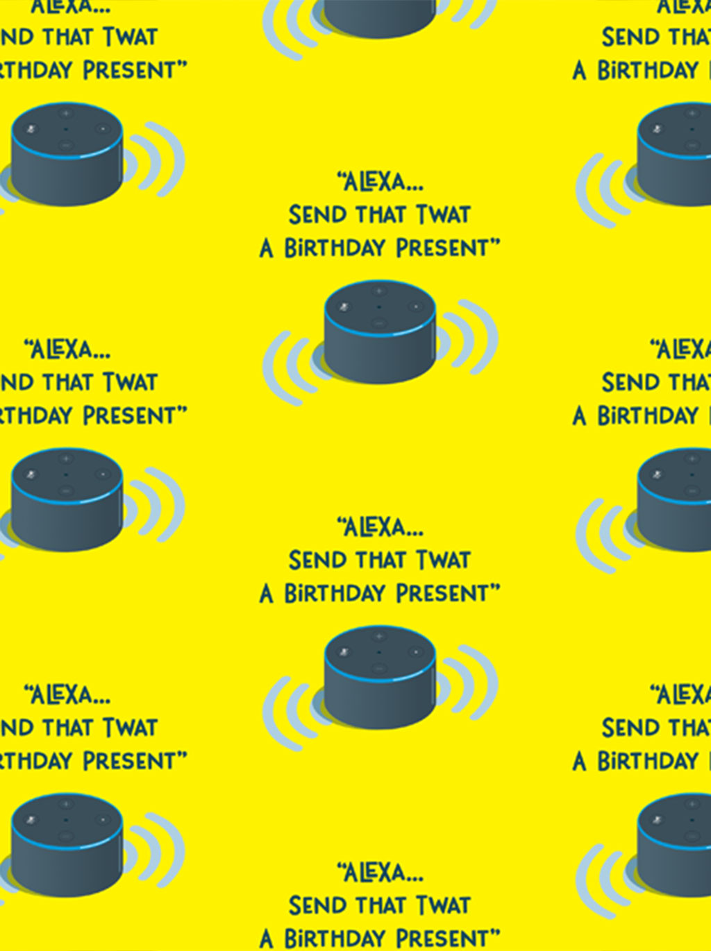 Rude Gift Wrap - Alexa T-Word Wrapping Paper By Brainbox Candy ...