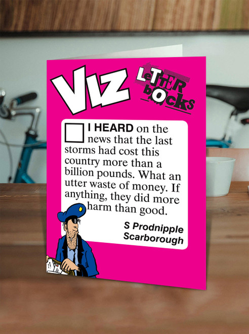 Storms Viz Letterbocks Funny Birthday Card - brainboxcandy.com