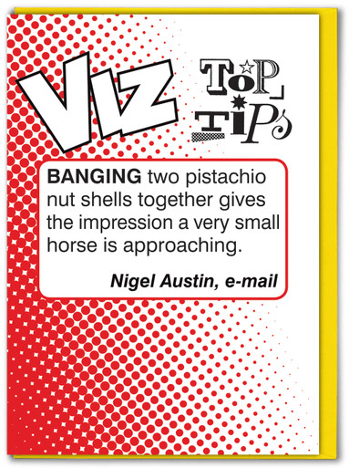 Small Horse Viz Top Tips Funny Birthday Card - brainboxcandy.com