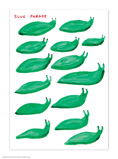 Slug Parade David Shrigley Postcard | brainboxcandy.com